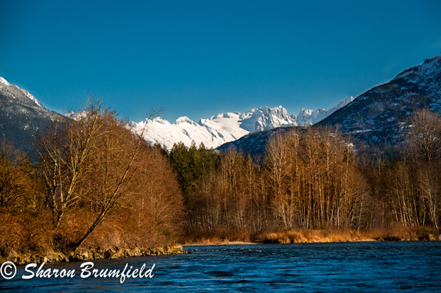 yoshiki nakamura david boyle david boyle